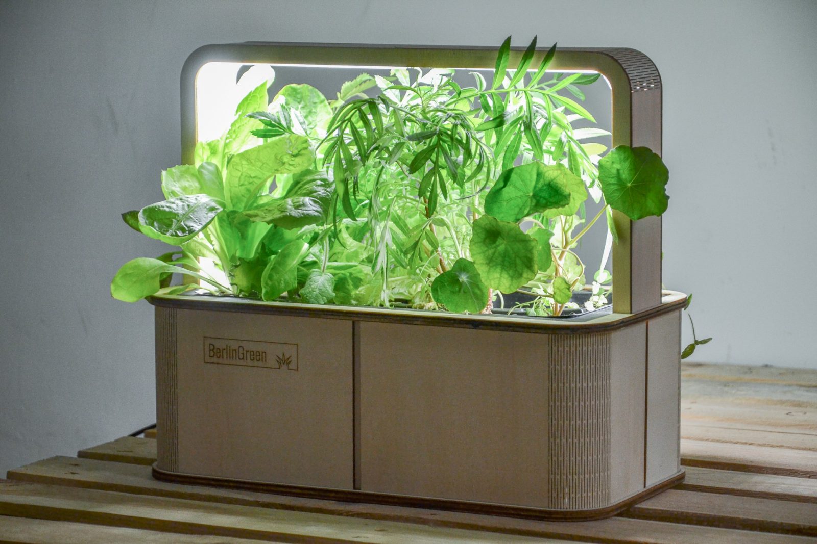BerlinGreen GreenBox: Der etwas smartere Indoor-Garten